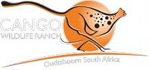Cango Wildlife Ranch and Conservation Centre - Oudtshoorn