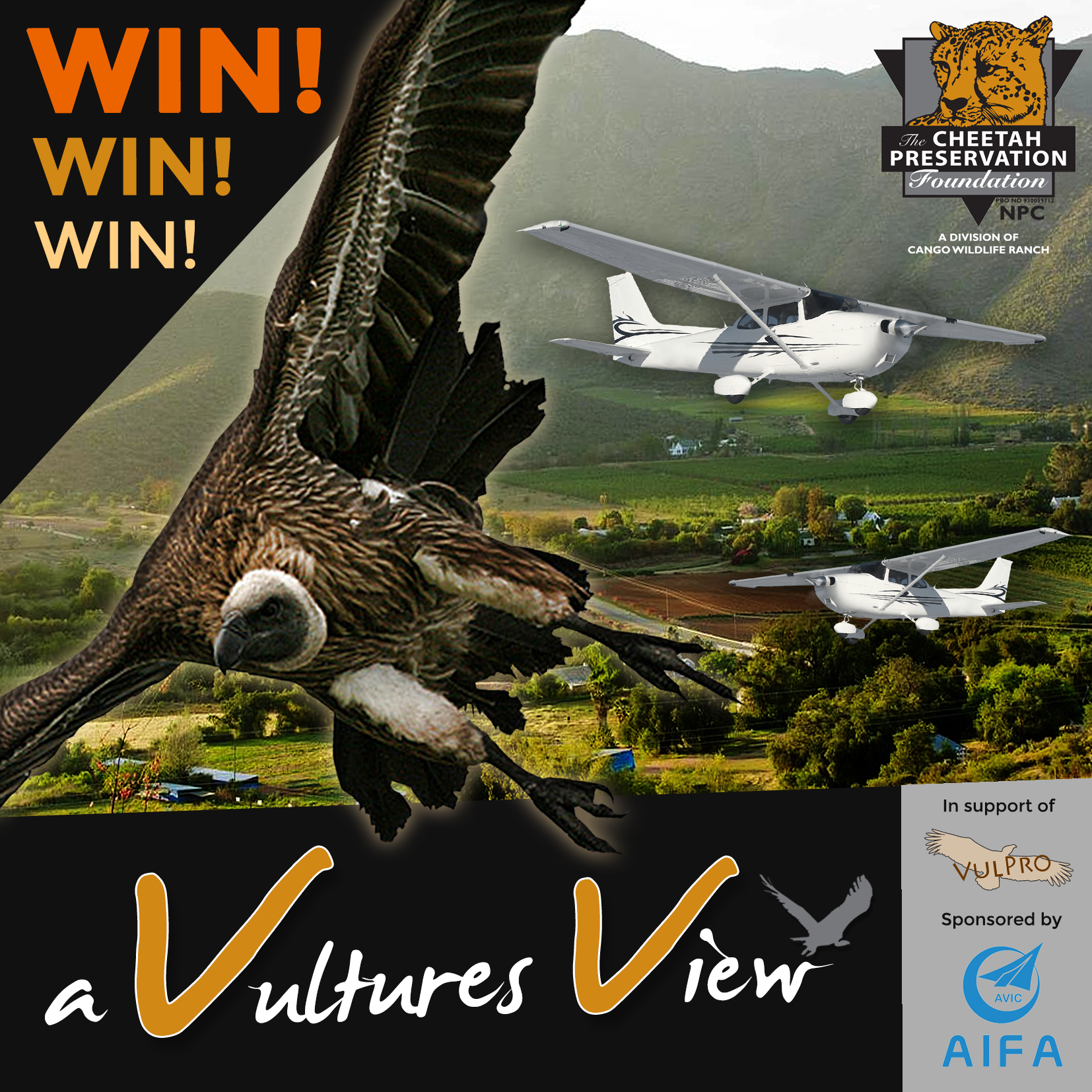 Vultures Flight - WIN for International Vulture Day! - Cango Wildlife Ranch